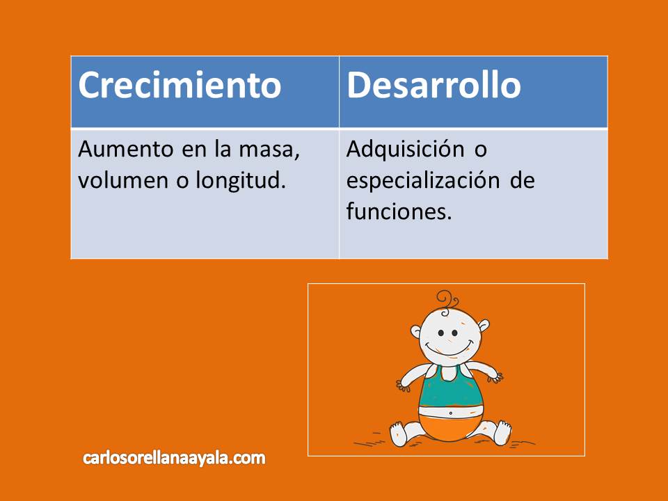 CRECIMIENTO Y DESARROLLO – carlosorellanaayala